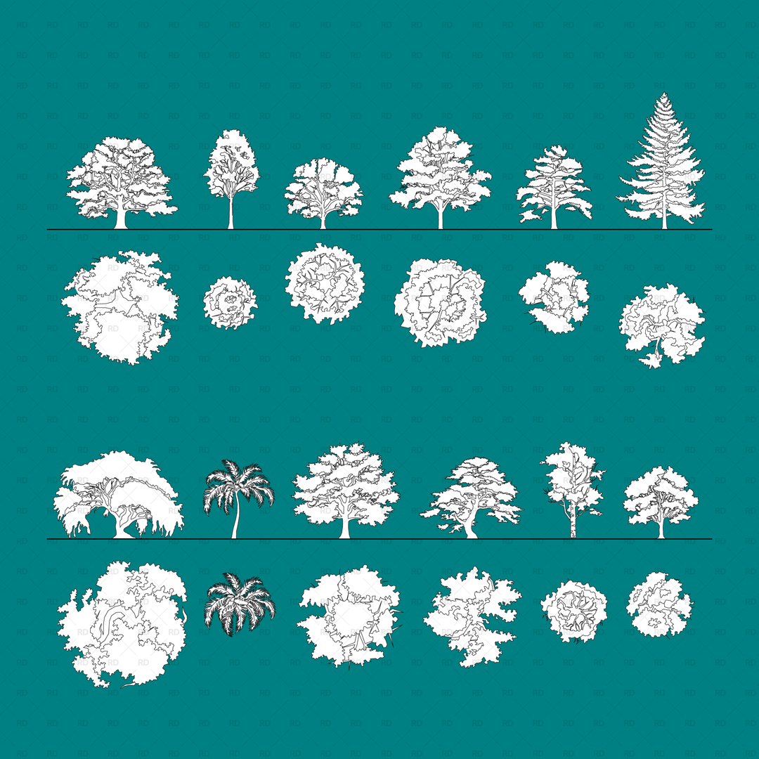 Revit 2D Trees (Scalable) Top + Elevation Views | RD Studio