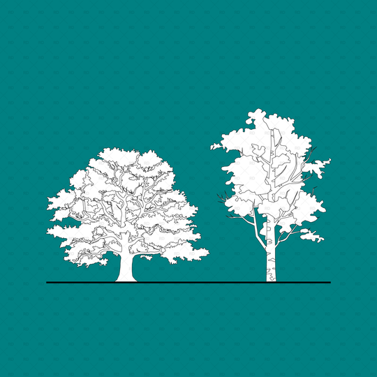 Revit 2D Trees (Scalable) Top + Elevation Views | RD Studio