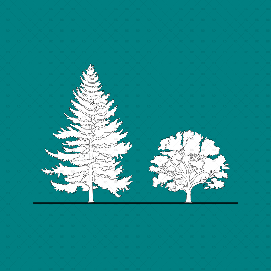 Revit 2D Trees (Scalable) Top + Elevation Views | RD Studio