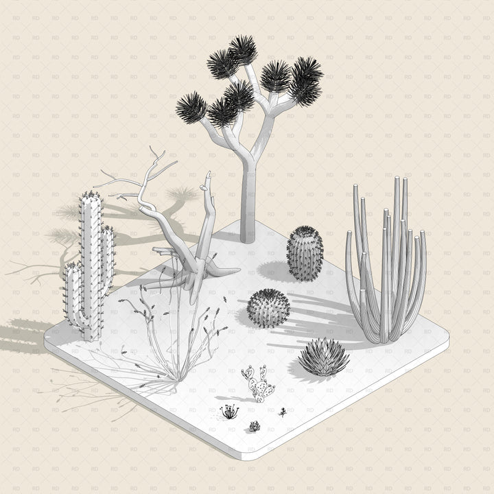 Download Revit Desert Plants and Trees | 12 Planting Families | RD Studio