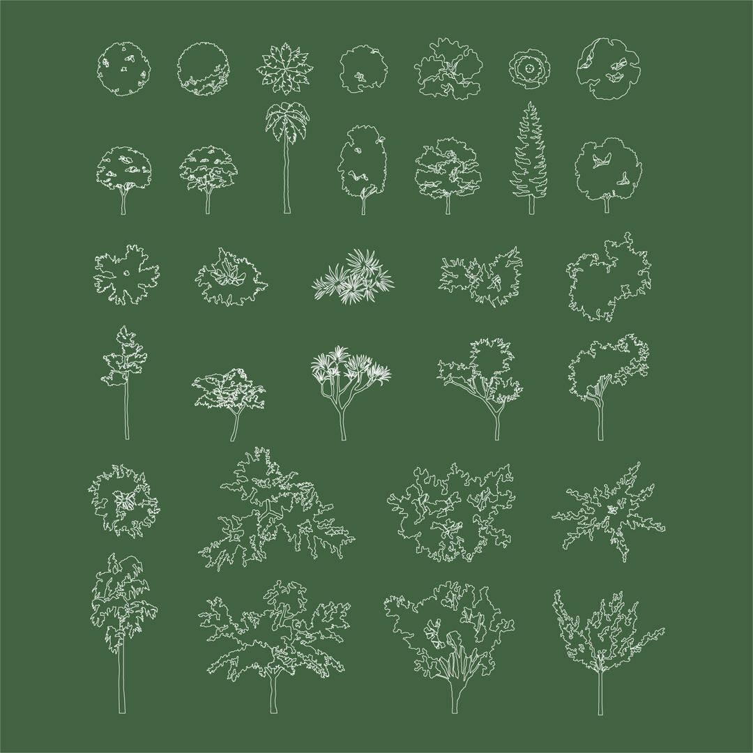 Download Revit Tree Families (16 Trees) Concept and RPC | RD Studio