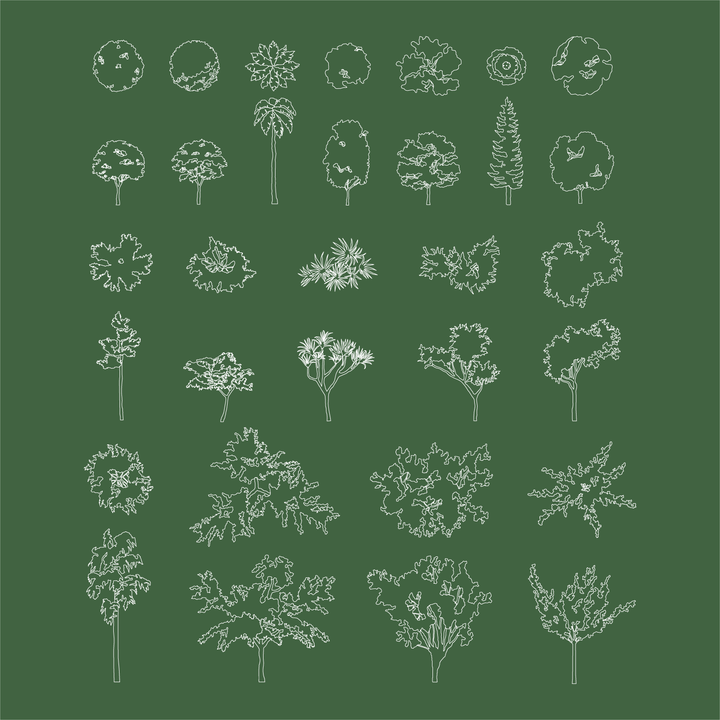 Download Revit Tree Families (16 Trees) Concept and RPC | RD Studio