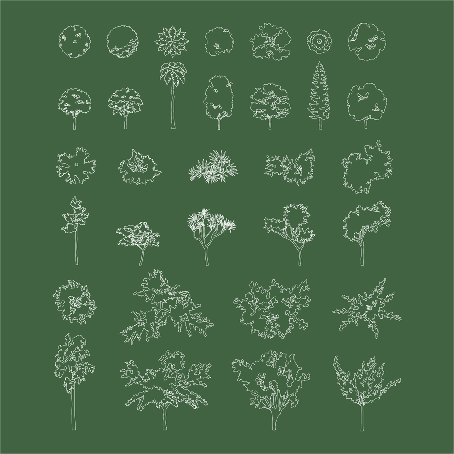 Download Revit Tree Families (16 Trees) Concept and RPC | RD Studio