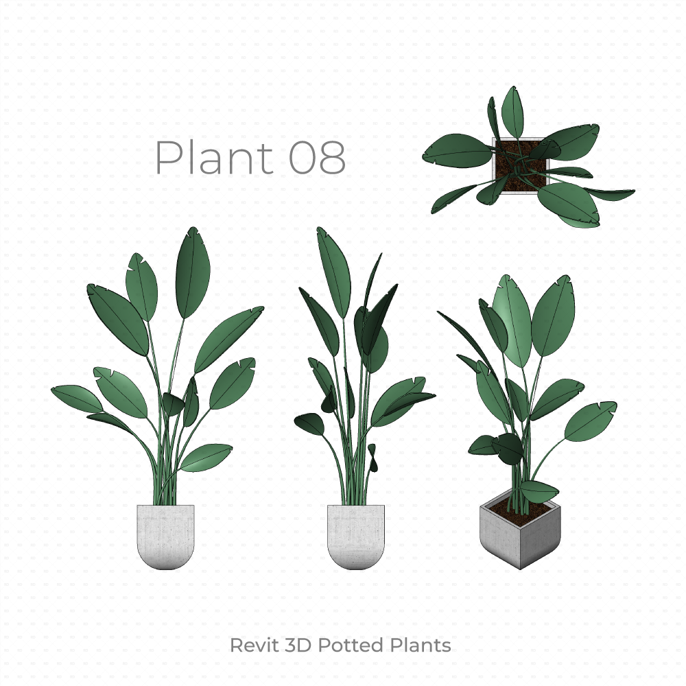 Download Revit 3D Planting - Potted Plants Families | RD Studio