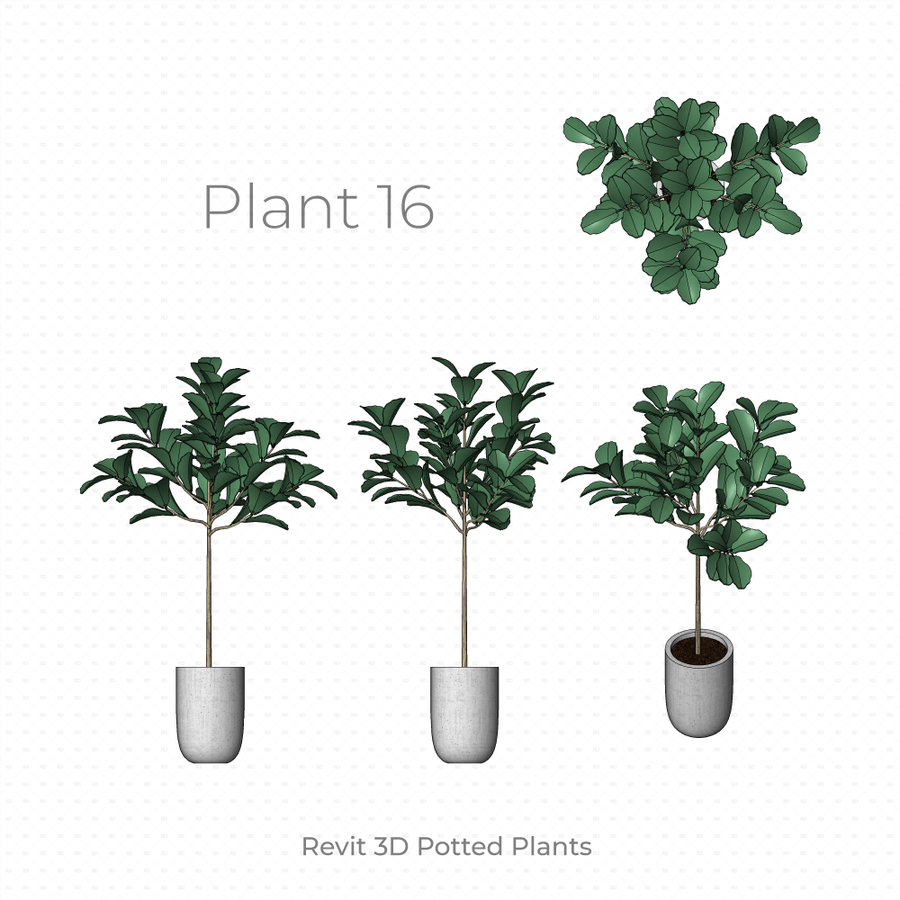 Download Revit 3D Planting - Potted Plants Families | RD Studio