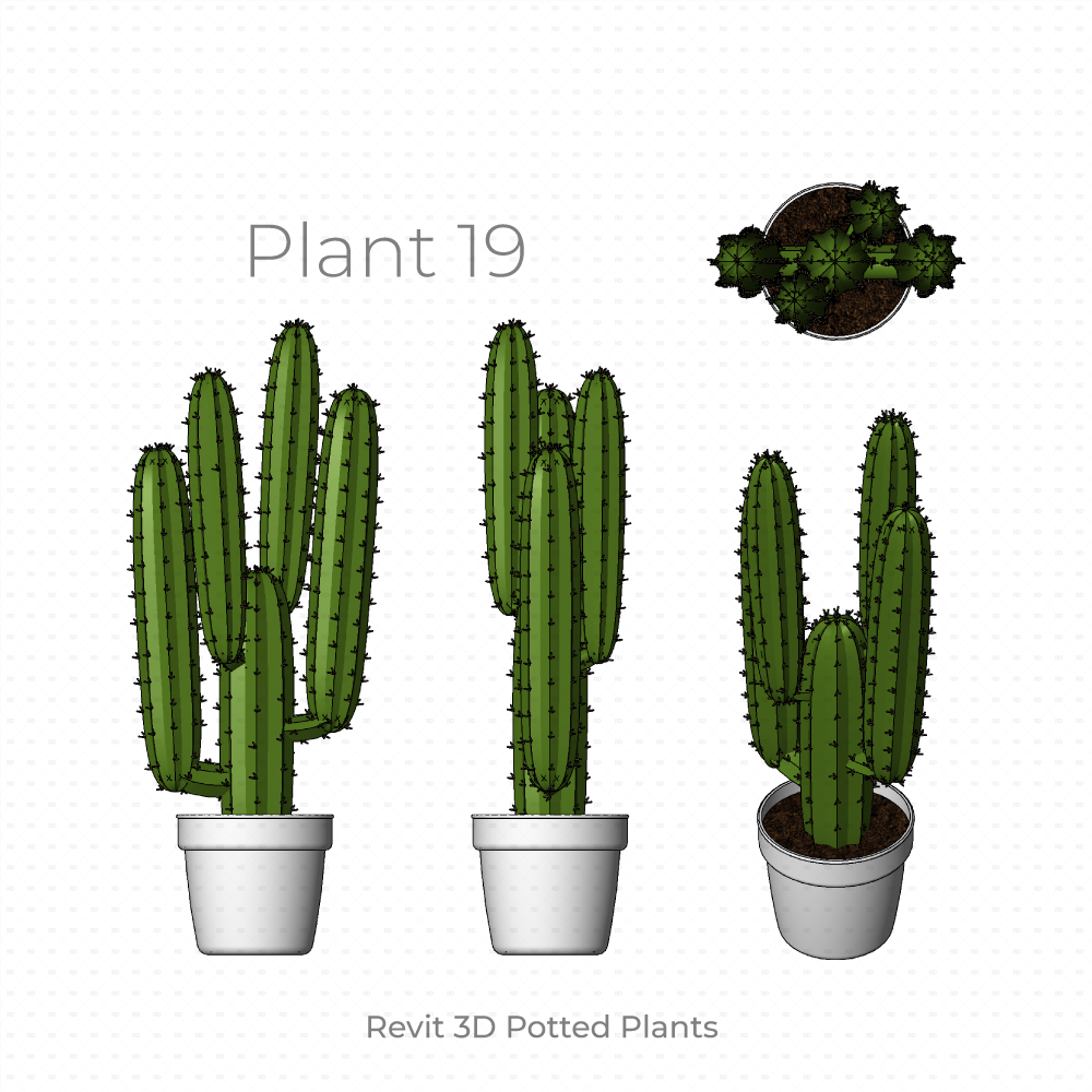 Download Revit 3D Planting - Potted Plants Families | RD Studio